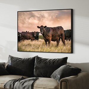 Black Angus Cattle Canvas - Large Cow Canvas - Oversize Western Decor ...