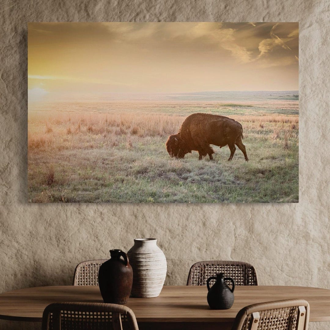 Buffalo Canvas Print - Bison Wall Art - Western Office Decor - Large ...