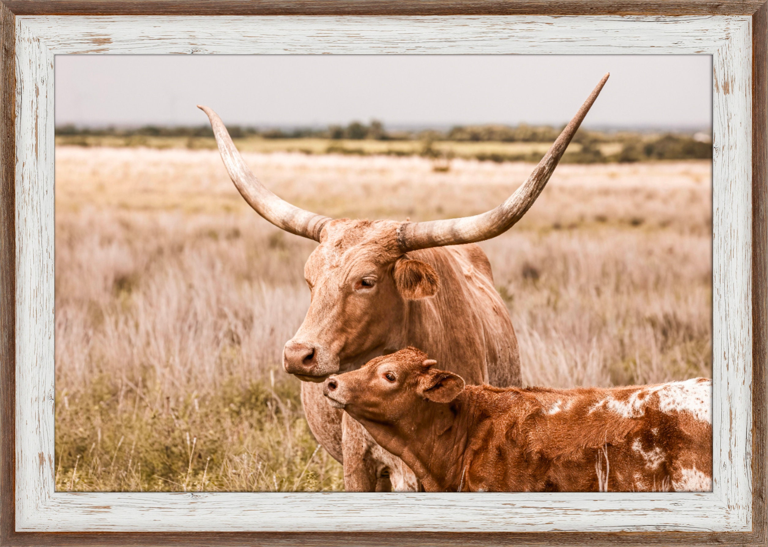 barnwood frames. Large print available Texas Longhorn picture Western ...