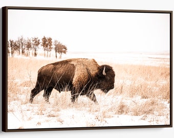 Buffalo in Snow Art - Etsy