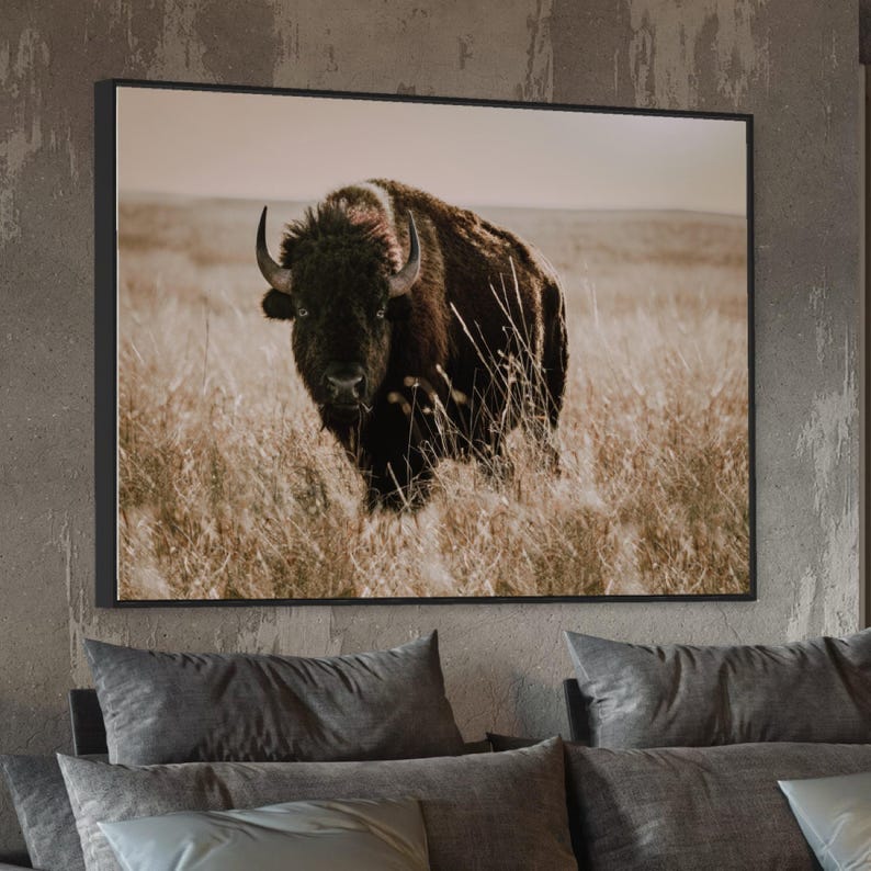 Buffalo Wall Art - Bison Canvas Print - Western American Bison Wall Art ...