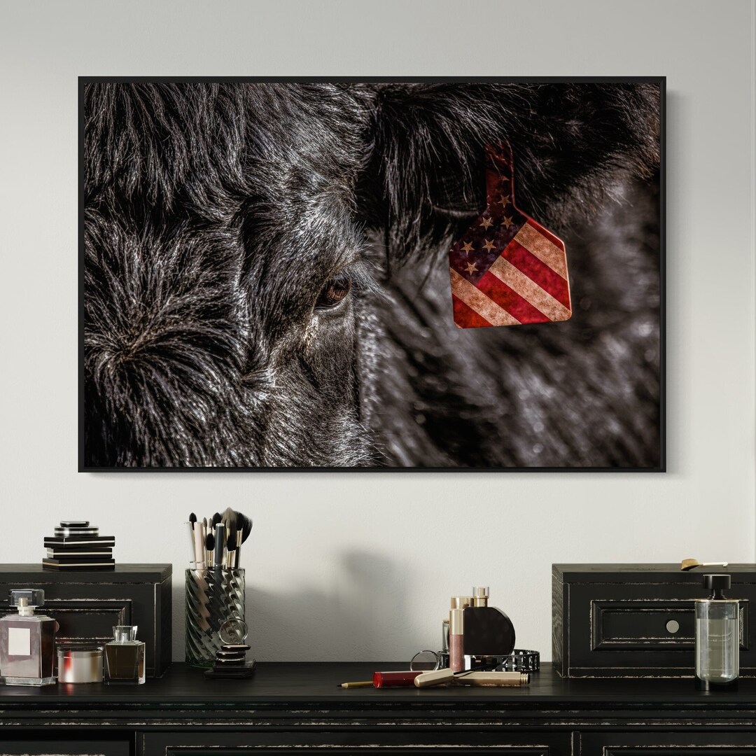 Patriotic Black Angus Canvas - American Angus Beef - Cow Wall Art With ...
