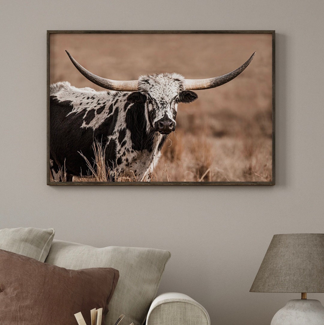 Texas Longhorn Print Cow Picture on Canvas Western Decor Art ...