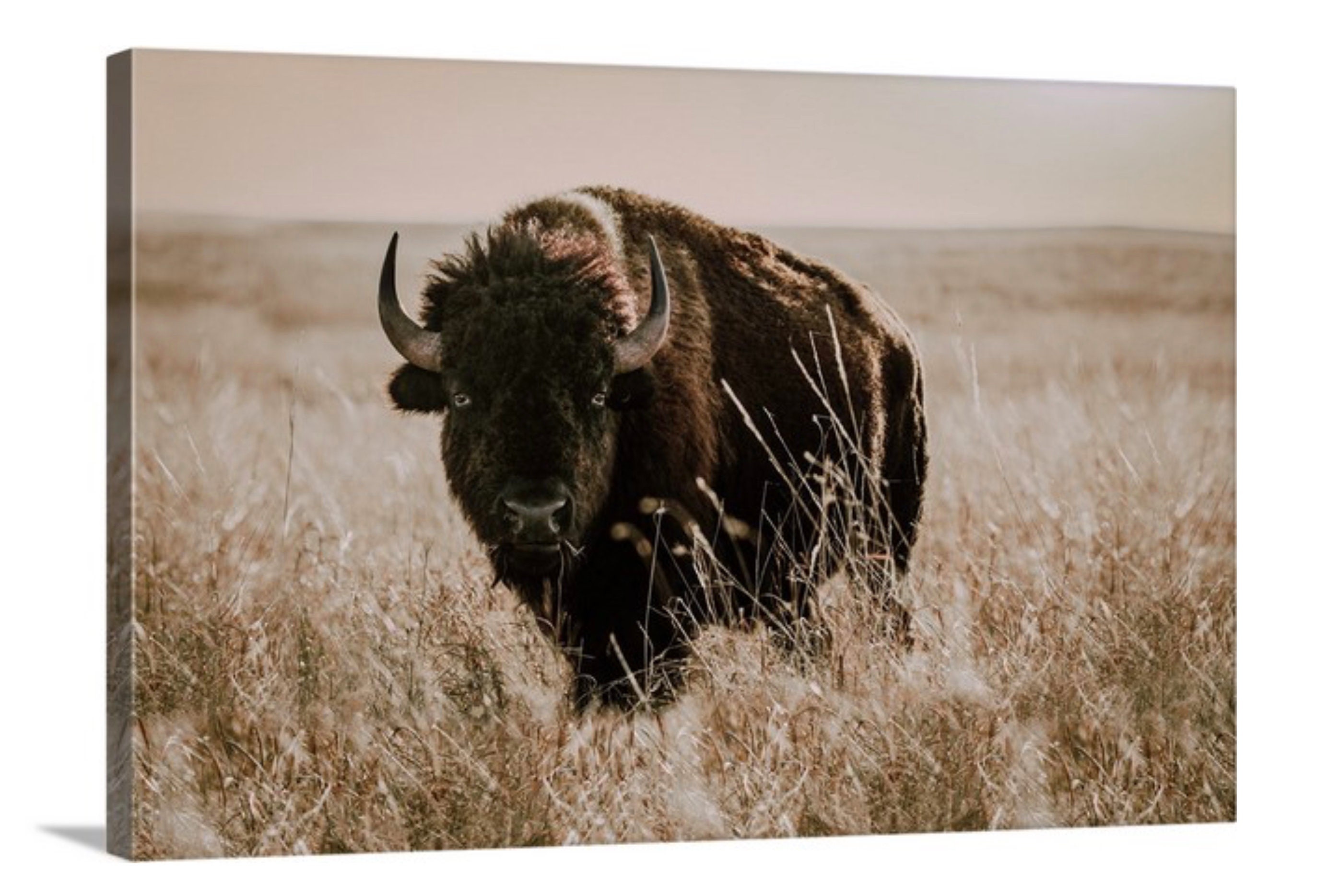 Wilderness Photography American Printable Farmstyle Art Bull Poster ...