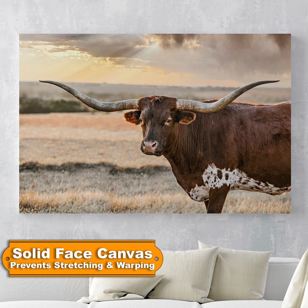 Longhorn Wall Art Texas Longhorn Cow Canvas Print Western Aesthetic ...