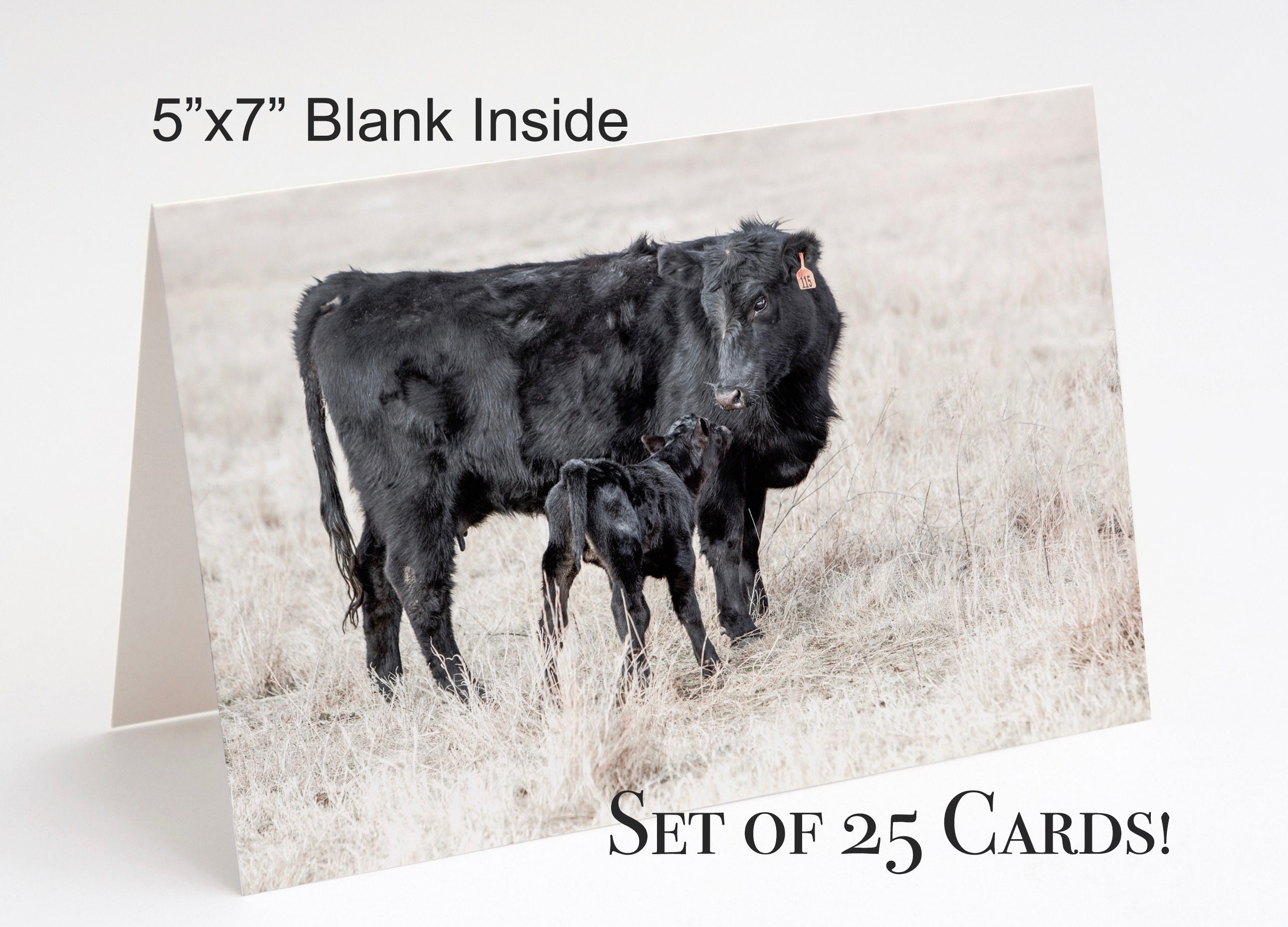 Black Angus Note Cards - Etsy