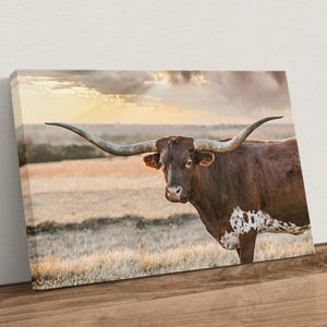 Longhorn Wall Art - Texas Longhorn Cow Canvas Print - Western Statement ...