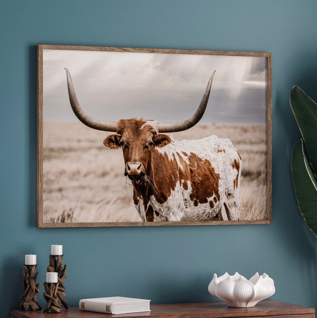 Longhorn Cow Photo Canvas Longhorn Wall Art Western Office Decor Rustic ...