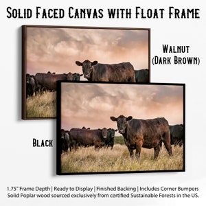Black Angus Cattle Canvas - Large Cow Canvas - Oversize Western Decor ...