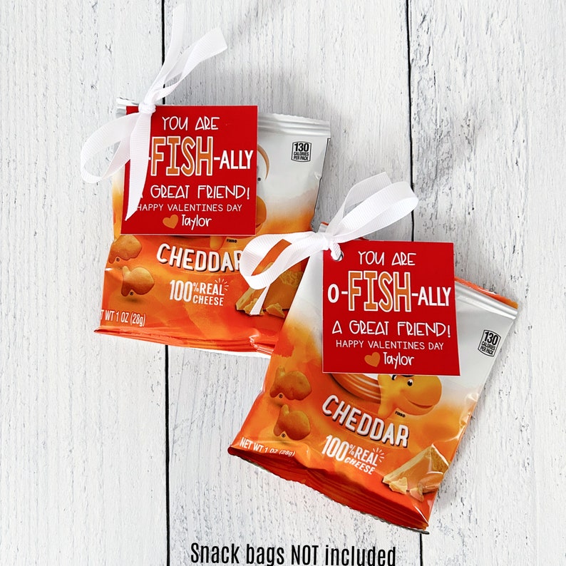 Printed Goldfish Valentine's Day Tags & Ribbon Fish Pun - Etsy