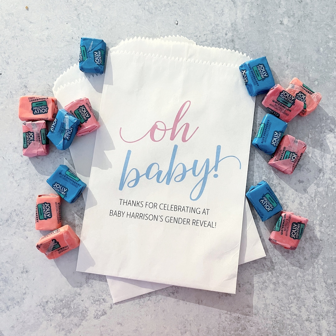 LINED Gender Reveal Party Favor Bags - Pink & Blue Baby Shower Candy ...
