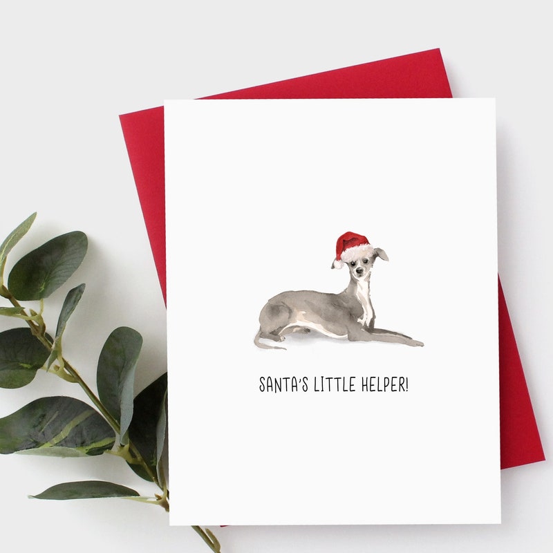 Greyhound Christmas Cards - Etsy