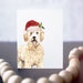 Goldendoodle Holiday Card, Goldendoodle Card, Doodle Dog, Goldendoodle ...