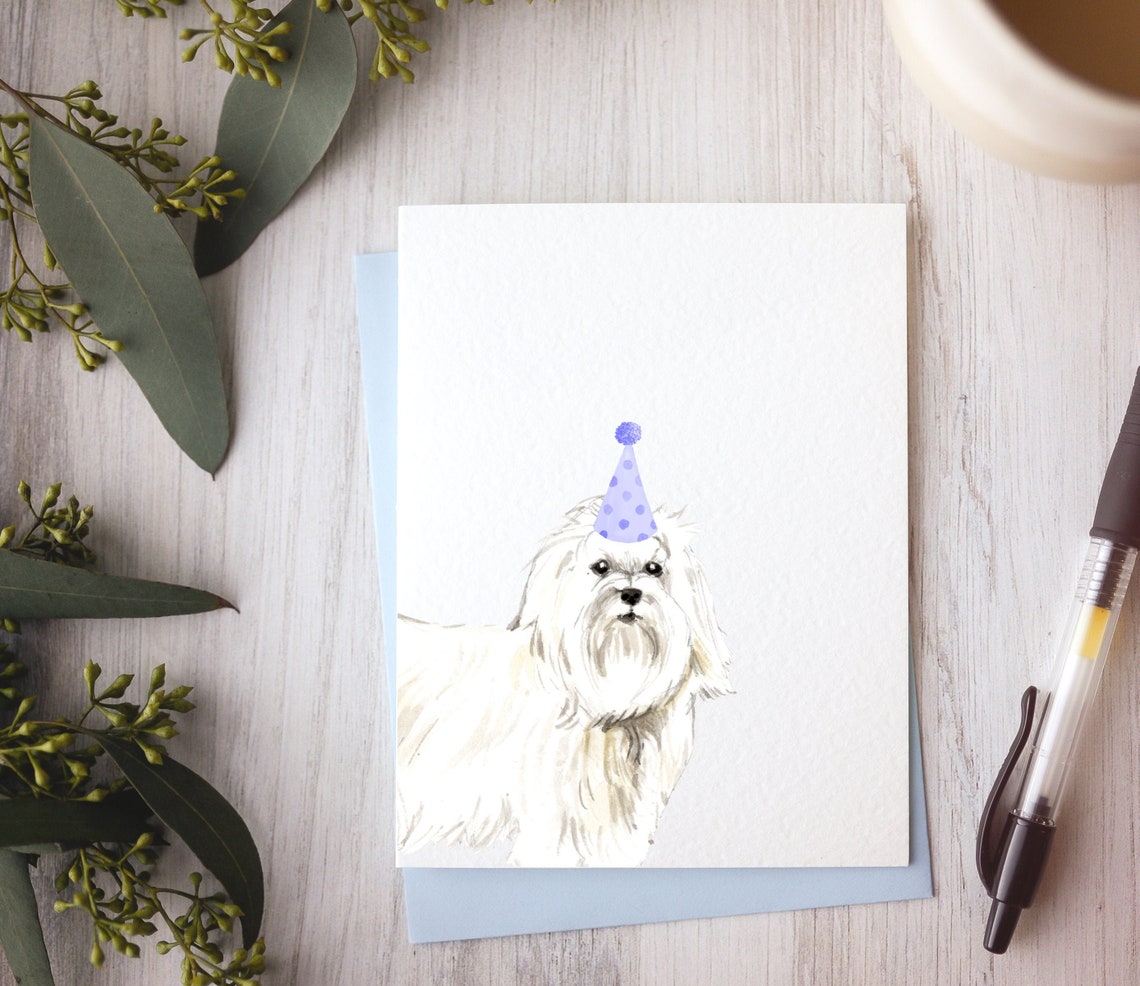 Maltese Birthday Card Maltese Card Dog Card Birthday Dog | Etsy