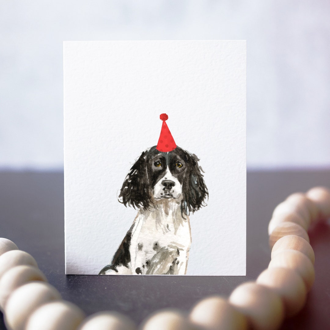 Springer Spaniel Card, Dog Birthday Card, Black and White English ...