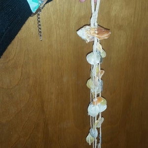 Conch Shell With Jingle Shells Wind Chime - Etsy