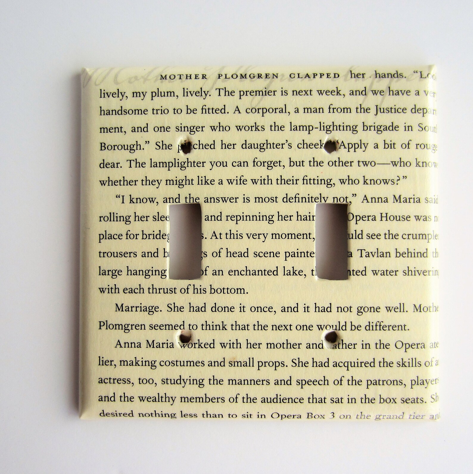 Single Lightswitch Covers Book Page Decor Switch Plates - Etsy Canada