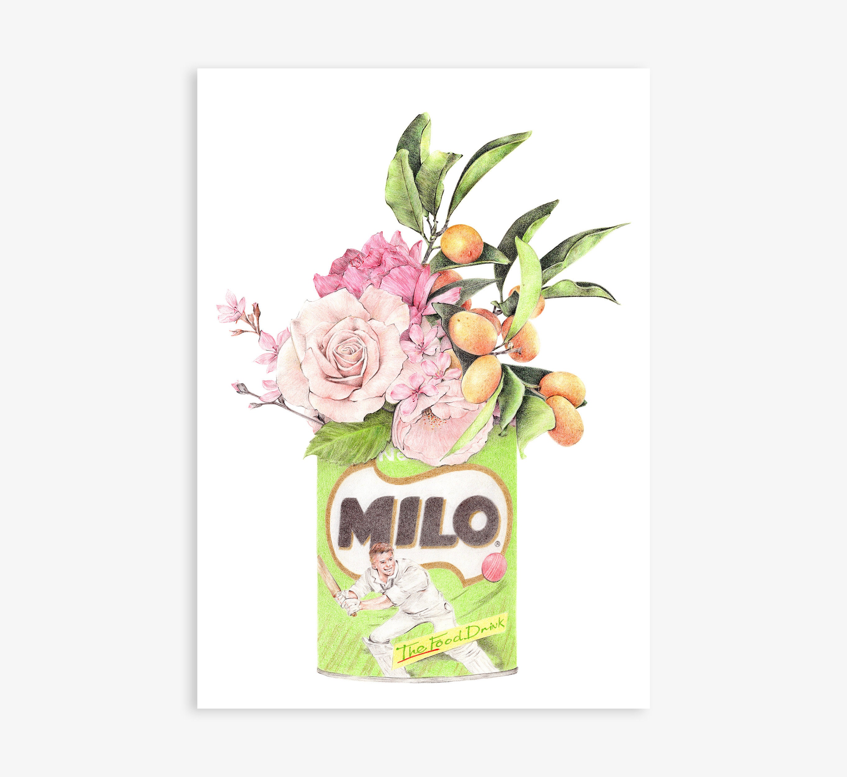 Milo Art Print Australian Art Botanical Print Citrus Print - Etsy
