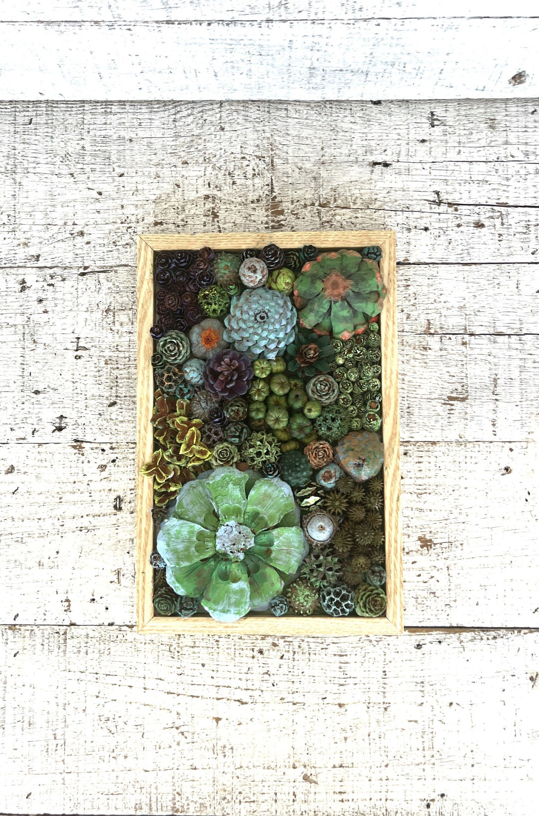 Pine Cone Succulent Garden: Rustic Wood Framed Faux Succulents - Etsy