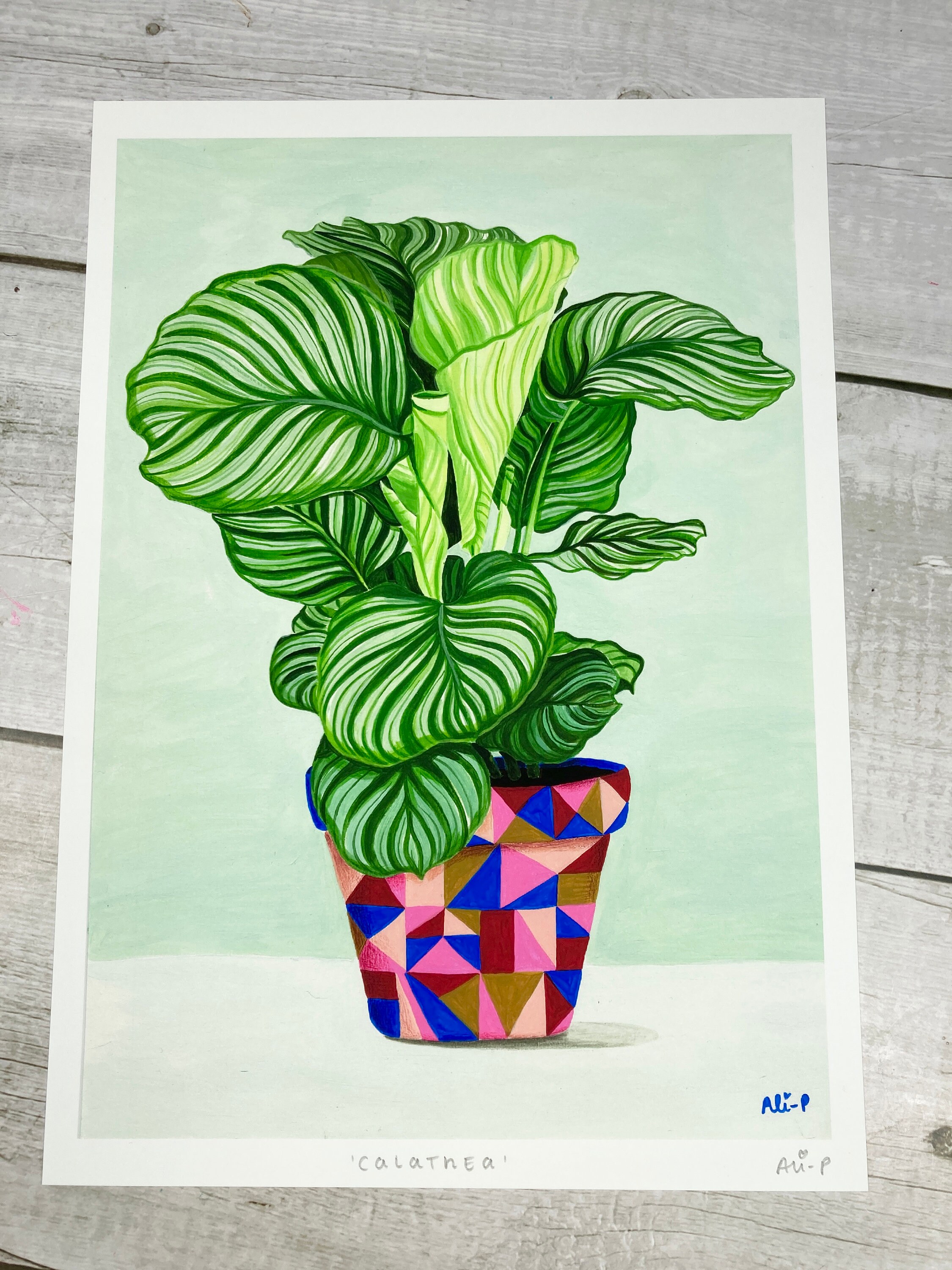 High Quality Print of My Calathea Painting, Wall Art, Art Print for ...
