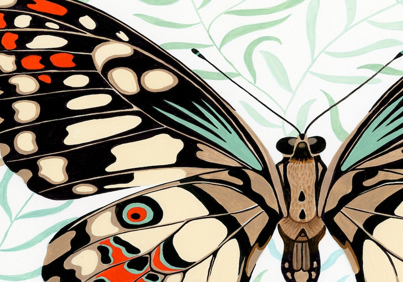 Butterfly Art Print, Insect Art Print, Green Butterfly, Contemporary ...