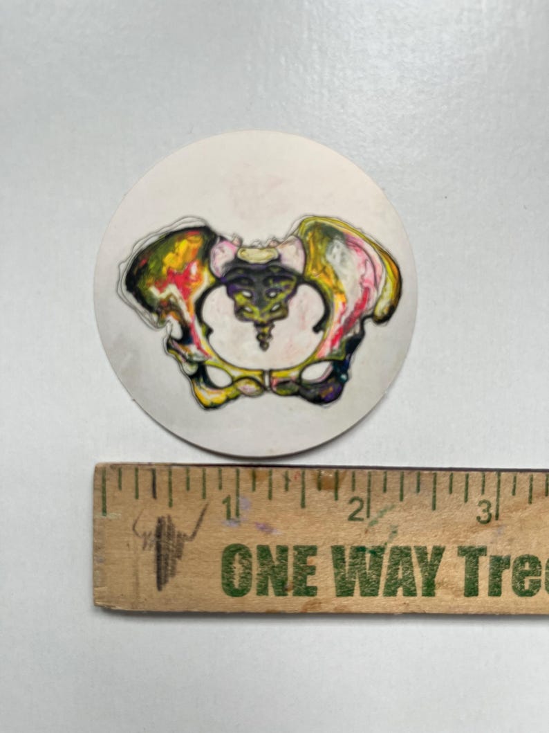Anatomical Pelvis Sticker - Etsy