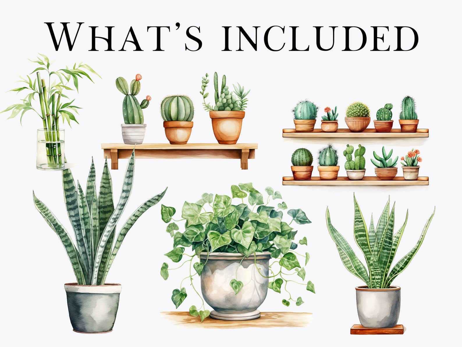 Watercolor Potted Plants Clipart: Greenery Graphics (digital Download ...