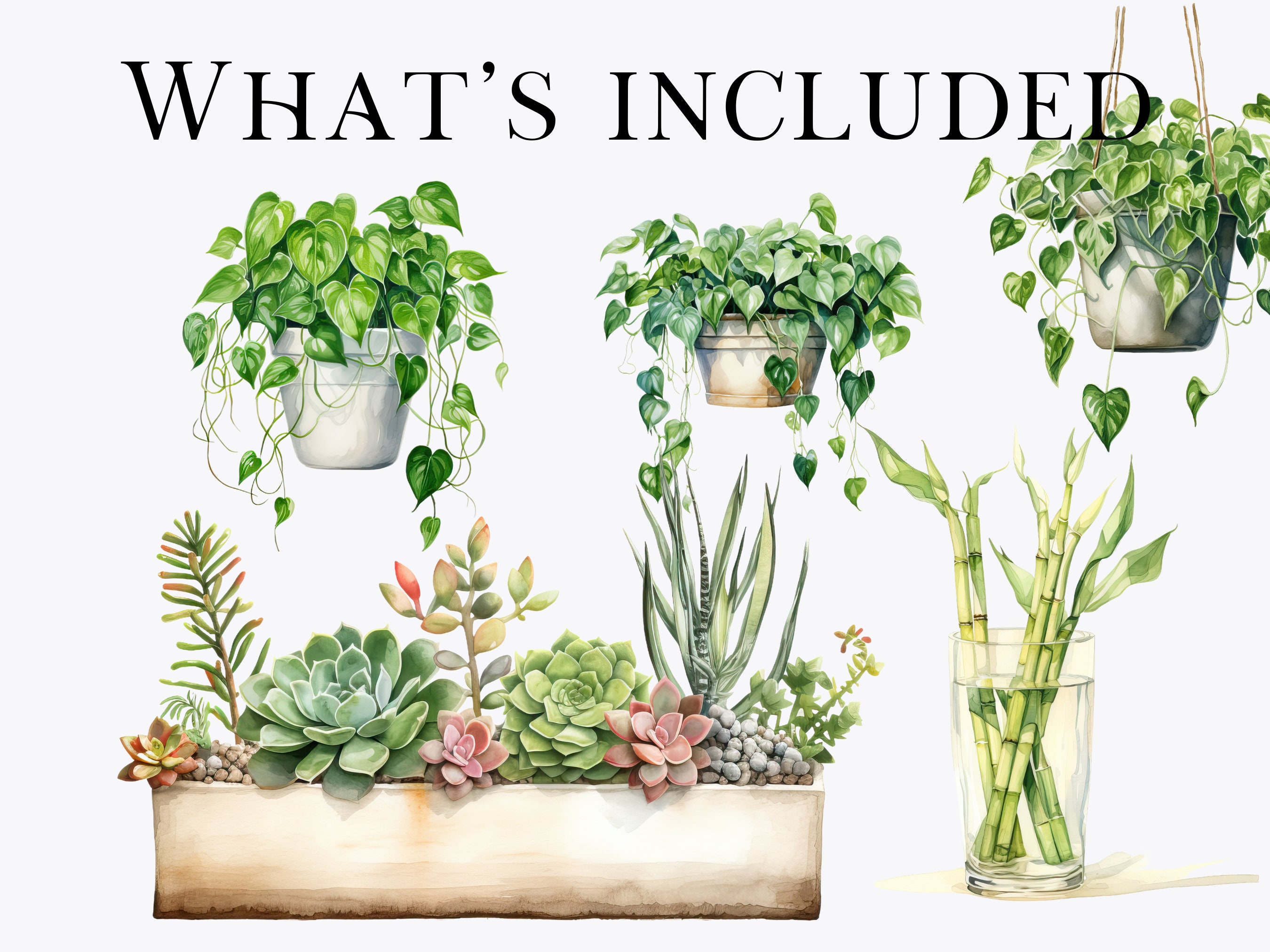 Watercolor Potted Plants Clipart: Greenery Graphics (digital Download ...