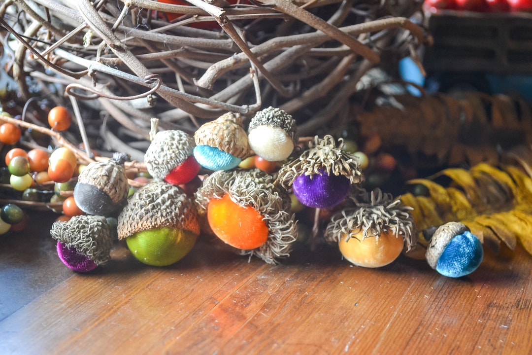 Silk Velvet Acorns in Various Bright & Neutral Colors, Set of 10 ...