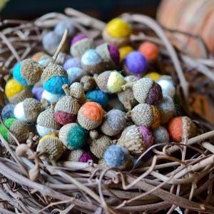 Small Needle Felted Acorns in Sets of 10, Various Colors, Thanksgiving ...