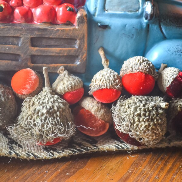 The Velvet Acorn - Etsy