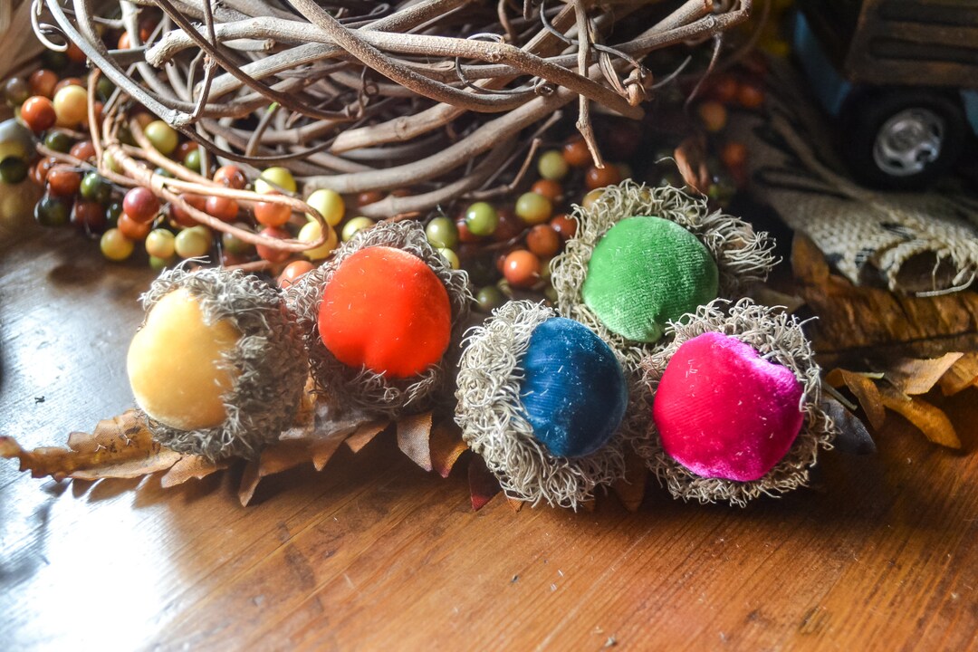 Silk Velvet Acorns in Various Colors, Set of 5 Extra Large, Real Acorn ...