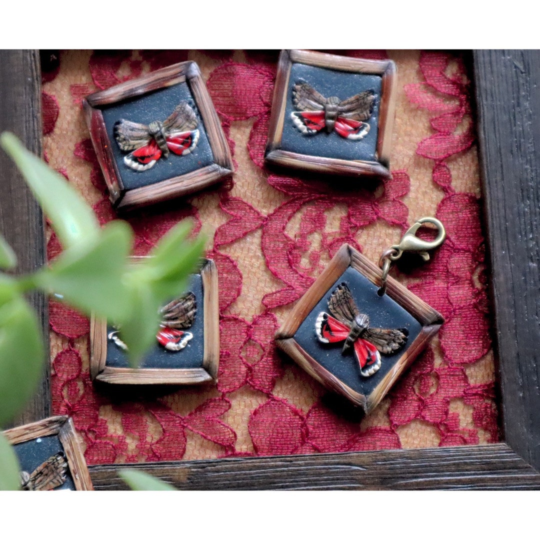 SALE Framed Underwing Moth Entomology Cottage Core Knitting Crochet ...