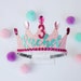Birthday Custom Crown Personalized Birthday Crown Headband - Etsy