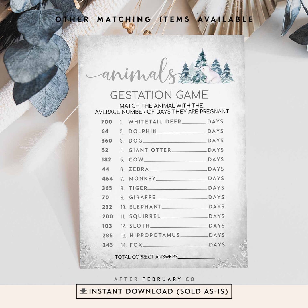 Winter Polar Bear Winter Baby Animals Gestation Game Cub Arctic Baby ...