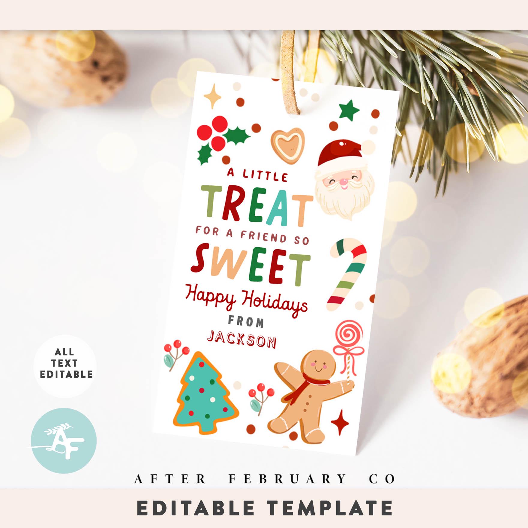 Editable Kids Christmas Treat Tag: School Holiday Favor Tags Printable ...