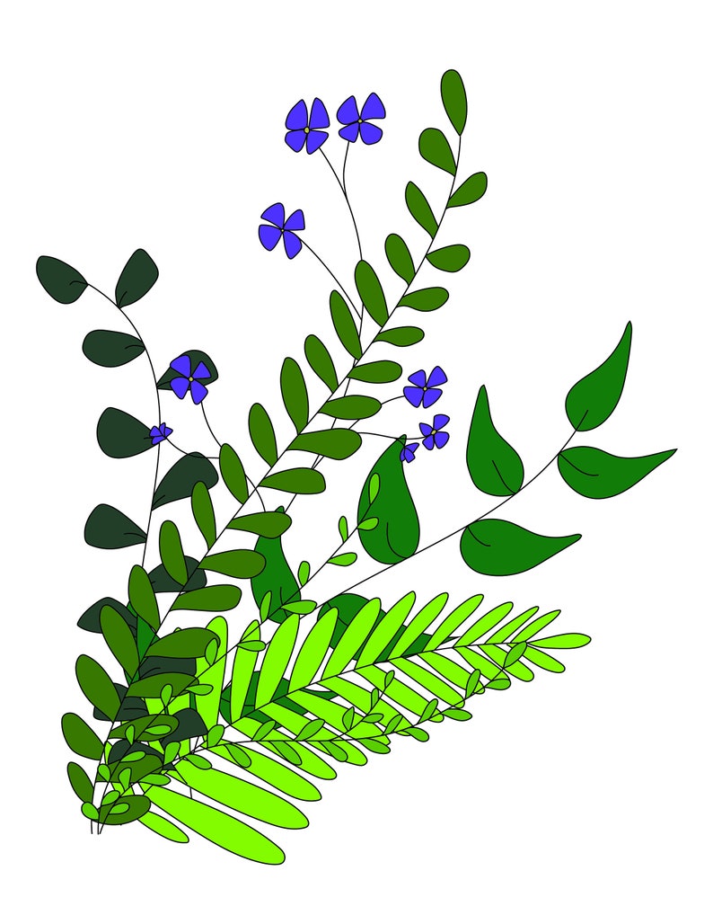Set of 4 Botanical Coloring Pages | Printable Download - Etsy