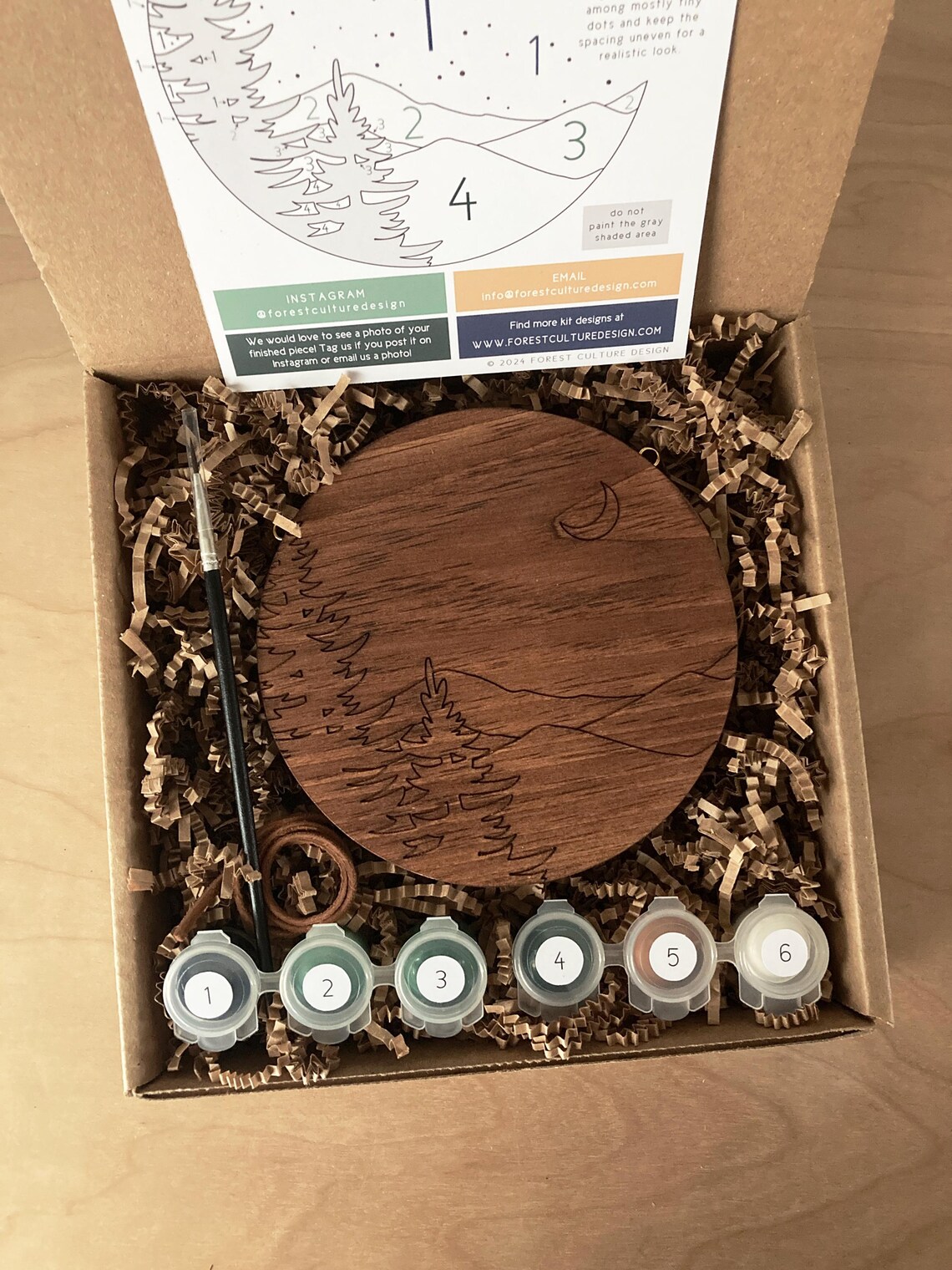 Night Sky Overlook Paint by Number Kit | DIY Craft Kit for Adults ...
