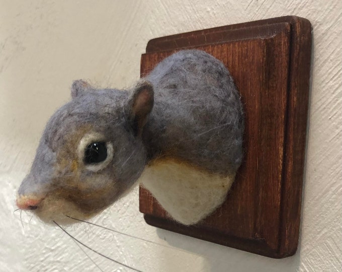 Squirrel Taxidermy, Red Squirrel Mount, Adirondack Red Squirrel ...