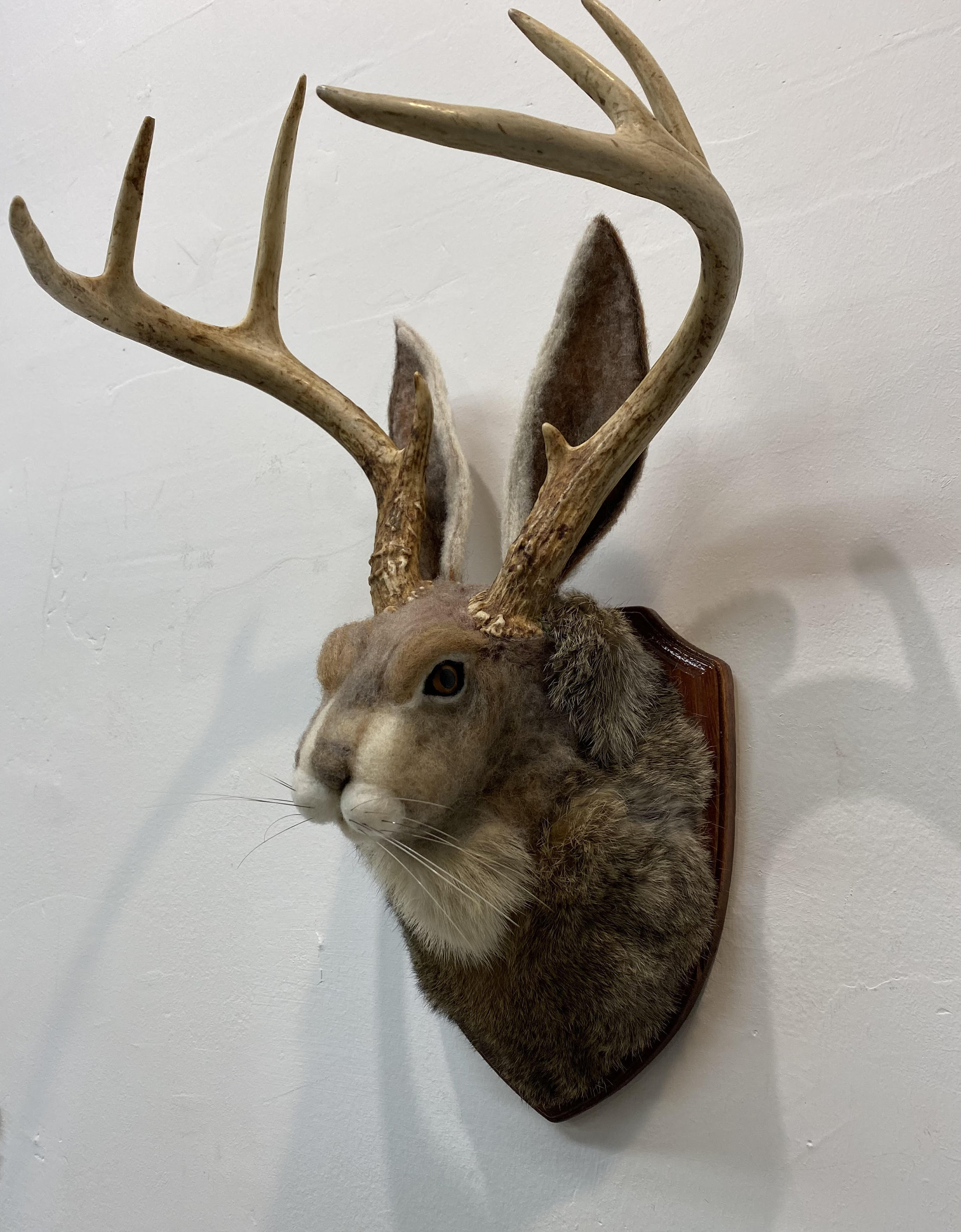Jackalope Trophy Mount 18x10x10 Needle Felt Sculpture - Etsy