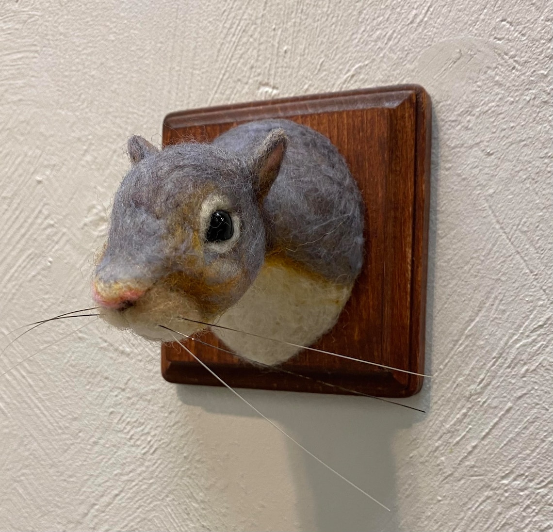 Squirrel Trophy Mount - 4x4” Needle Felt Sculpture - Etsy
