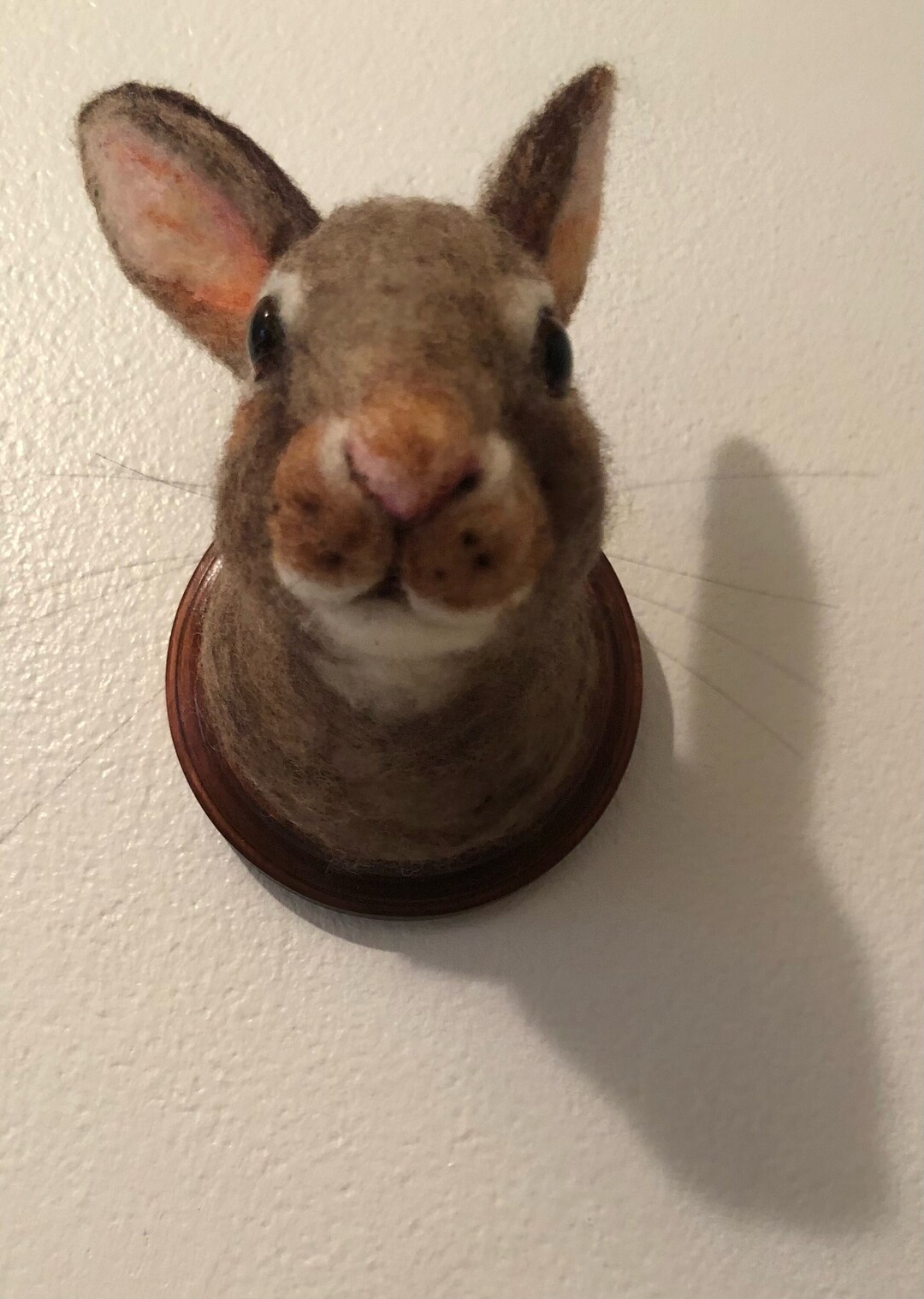Cottontail Rabbit Trophy Mount - 6x4x4” Needle Felt Sculpture - Magnus ...