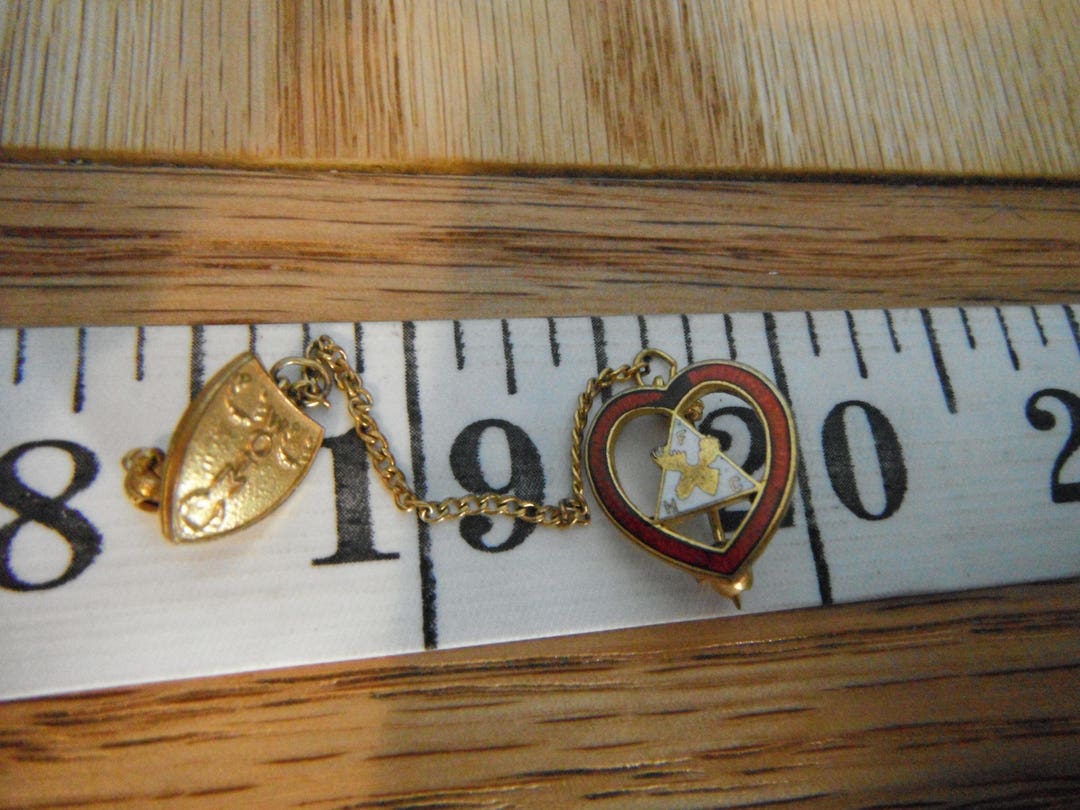 Vintage Women's Order of Moose Pin, Double Moose Red Enamel Pin, Gold ...