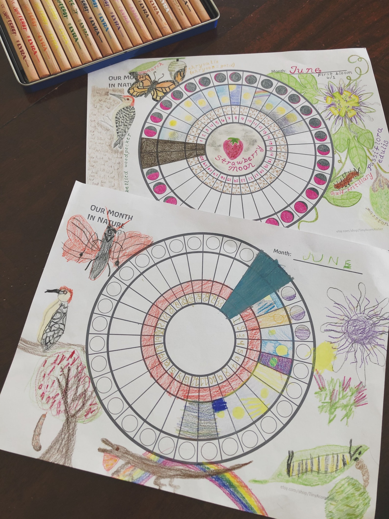Phenology Wheel Templates | Etsy