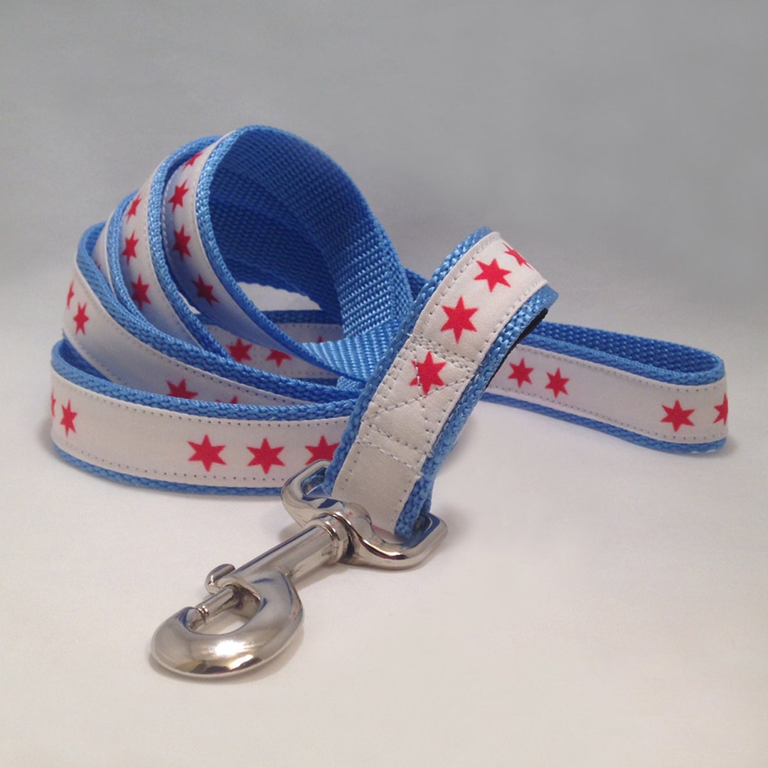 1 Inch Width & 5-foot Long Dog Leash, Chicago Lover Dog Leash, Inspired ...