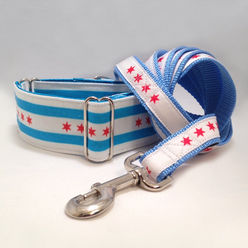 1 Inch Width & 5-foot Long Dog Leash, Chicago Lover Dog Leash, Inspired ...