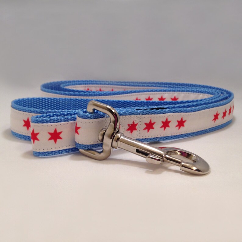 1 Inch Width & 5-foot Long Dog Leash, Chicago Lover Dog Leash, Inspired ...