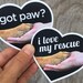 Dog Rescue Decal / Dog Rescue Sticker / Pet Rescue Sticker / Paw Decal ...