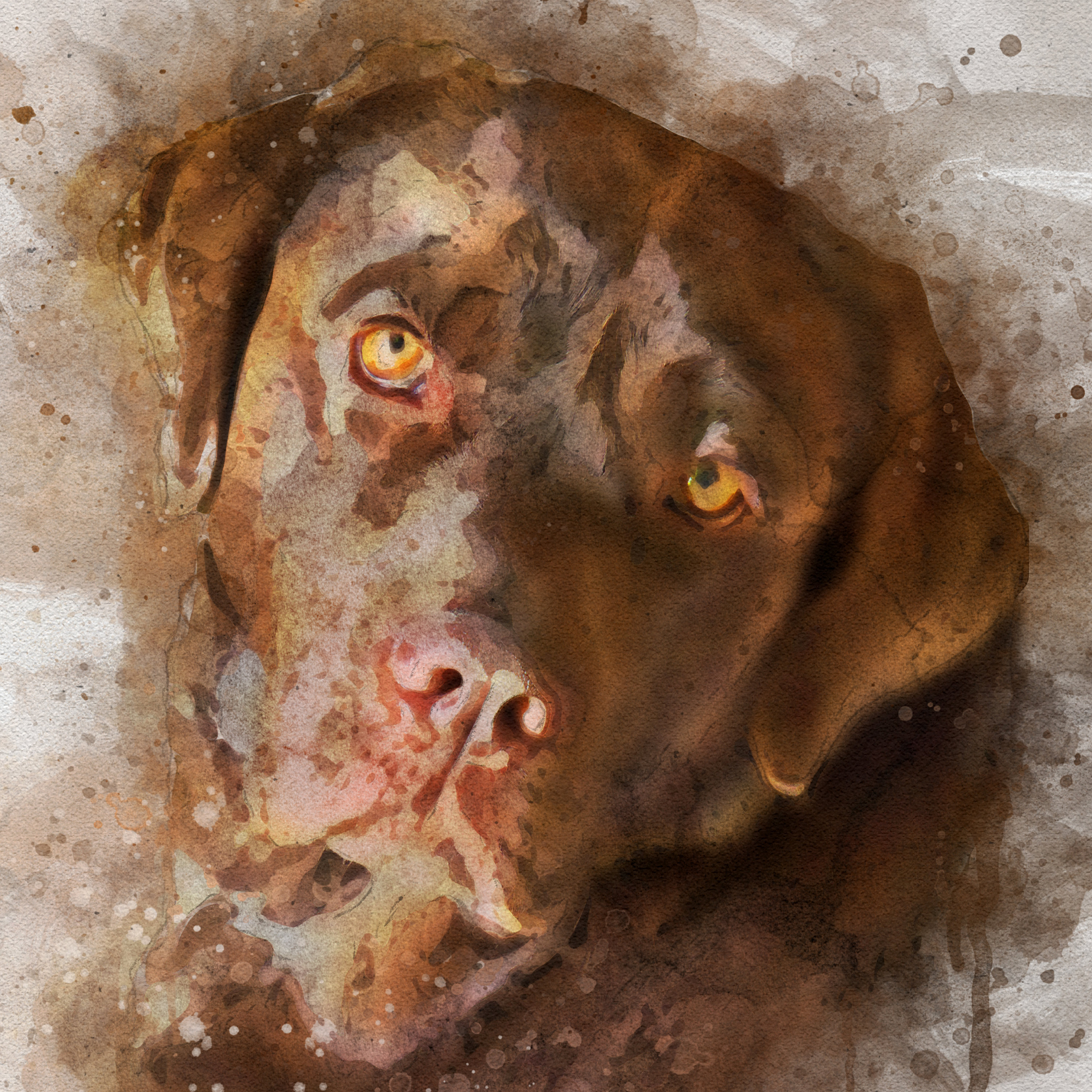 Chocolate Lab Art Print, Labrador Retriever Dog Modern Watercolor ...