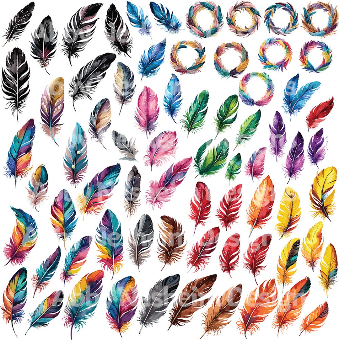 Feather Watercolor Vector Pack -SVG, PNG - Etsy